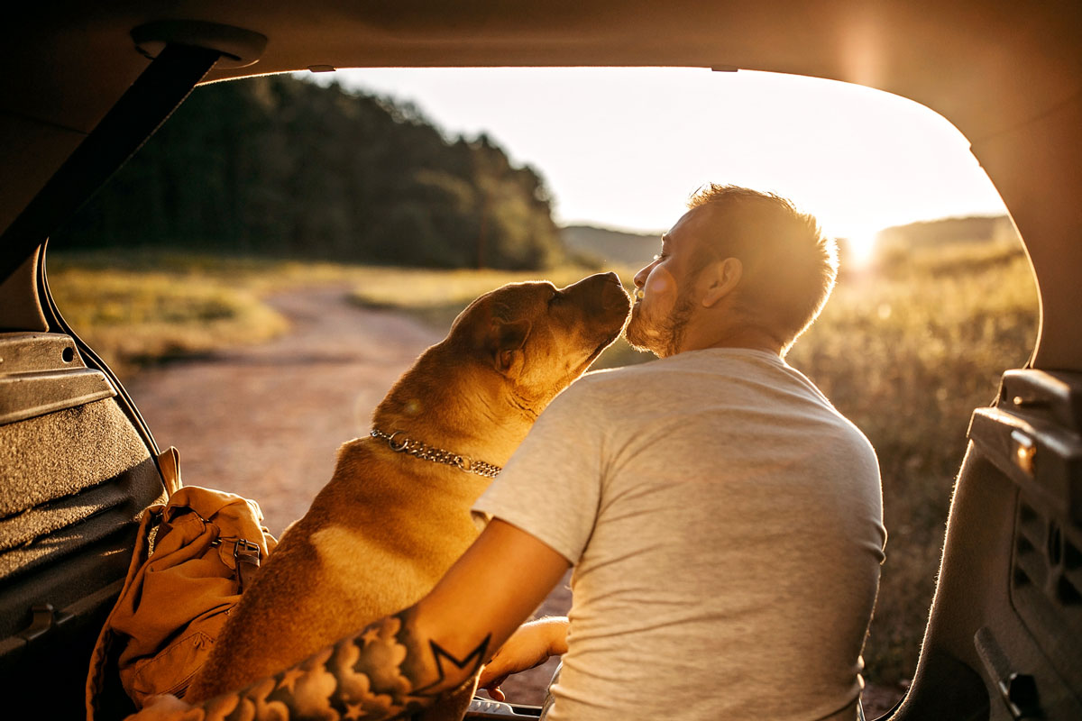 These Are the Cars You Can Trust to Last 200,000 Miles - Better Report