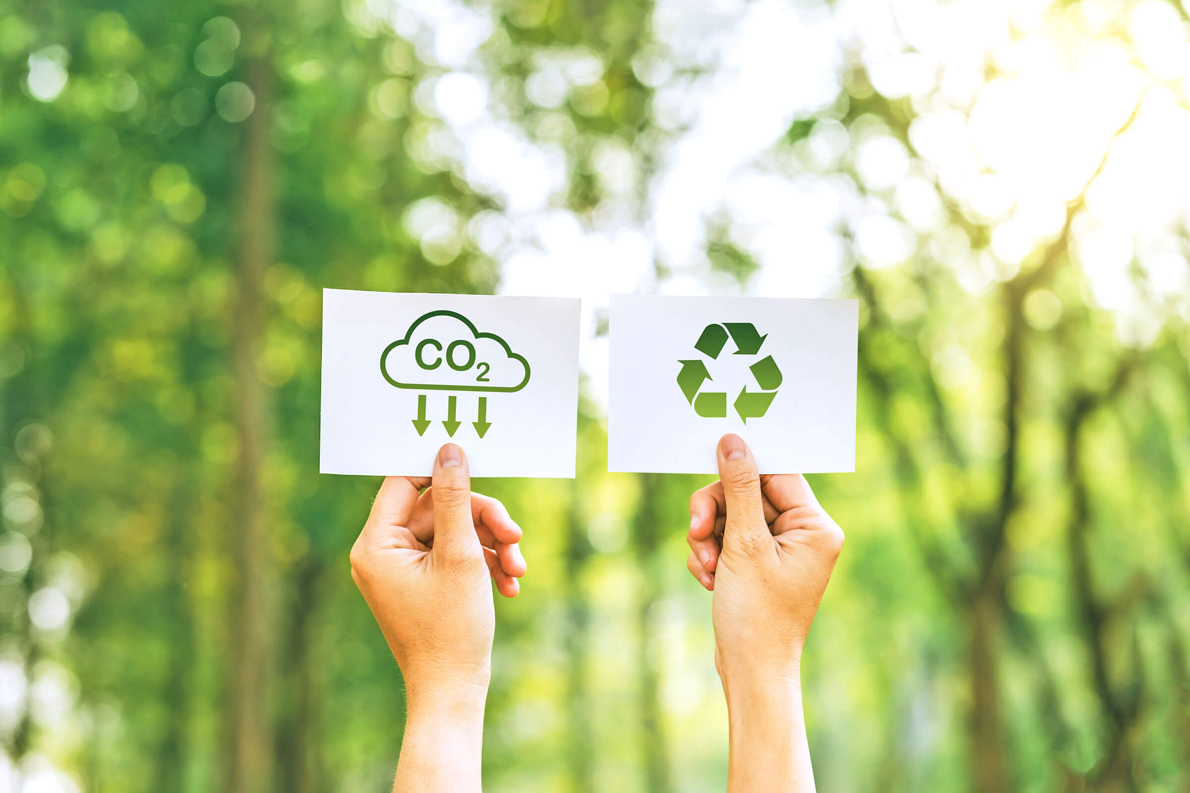 7 Surprising Ways to Reduce Your Carbon Footprint - Better Report